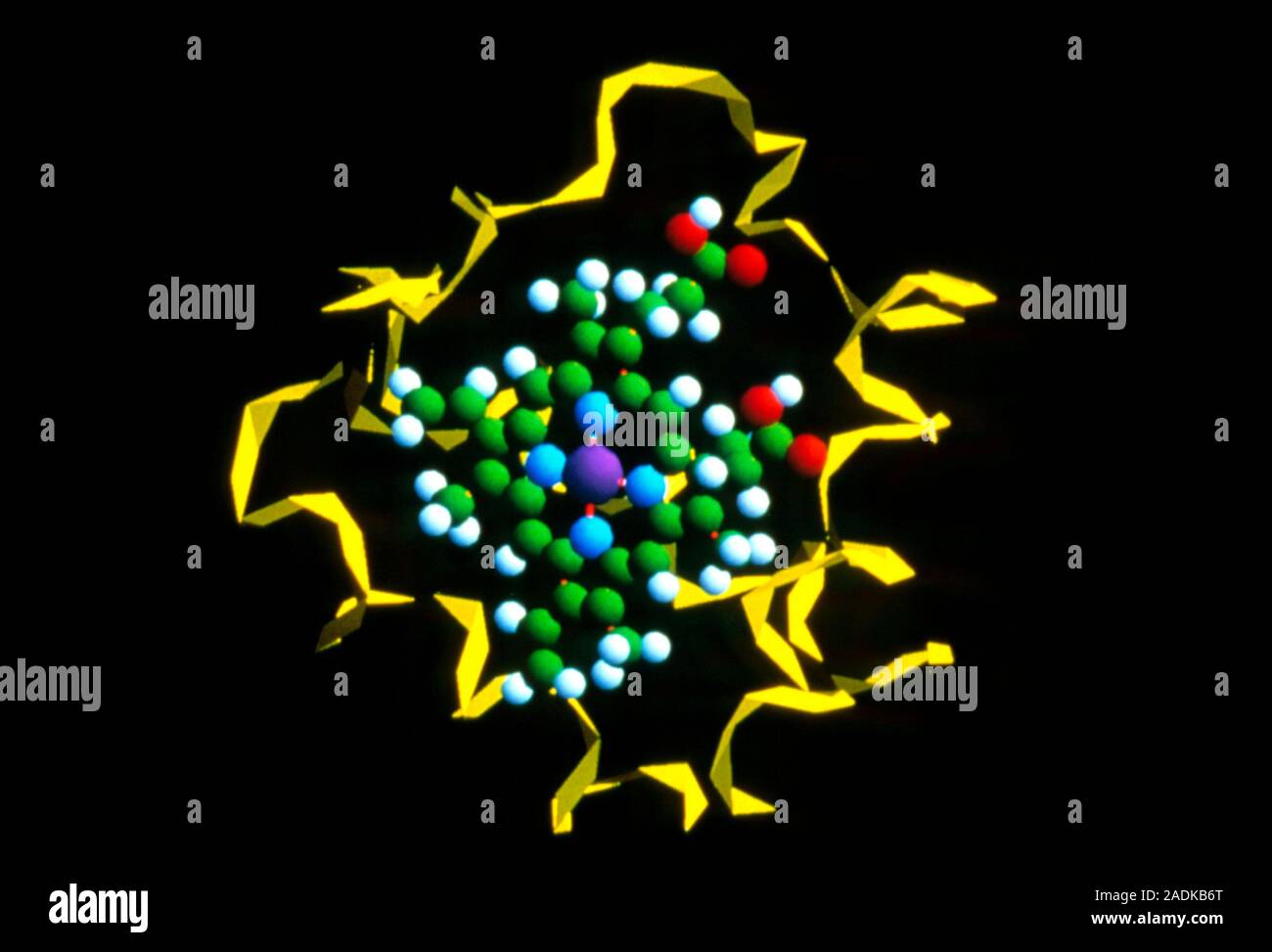 Computer graphics space-filling representation of the haem group of the ...