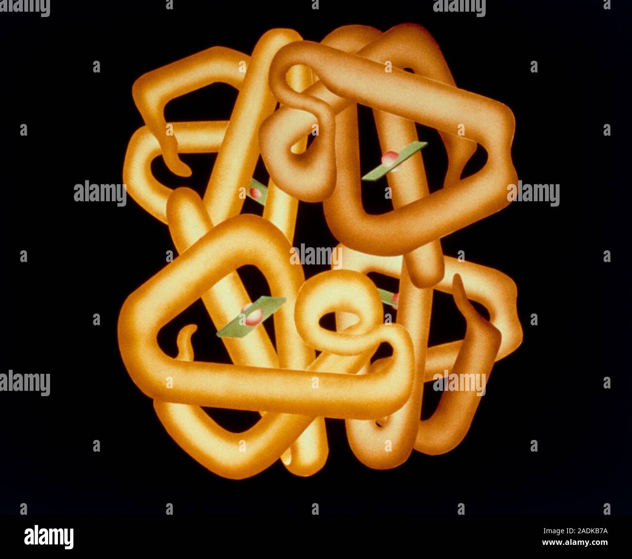 Computer graphic representation of part of the haemoglobin molecule ...