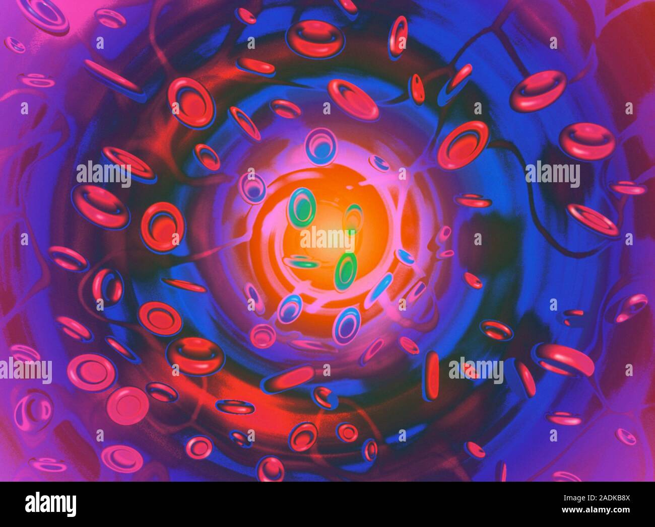 Red blood cells. Computer illustration of red blood cells, depicted as ...