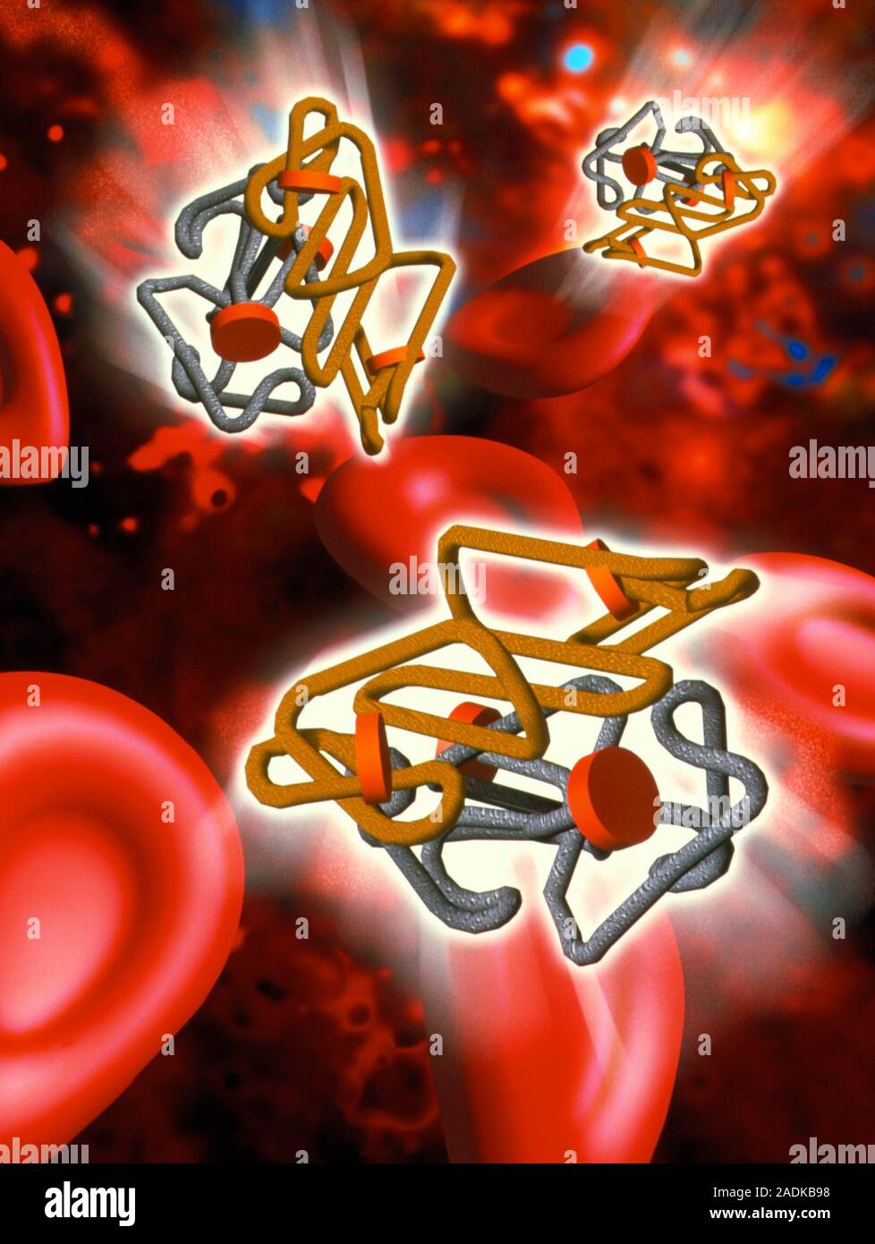 Haemoglobin. Computer artwork of haemoglobin molecules on a background ...