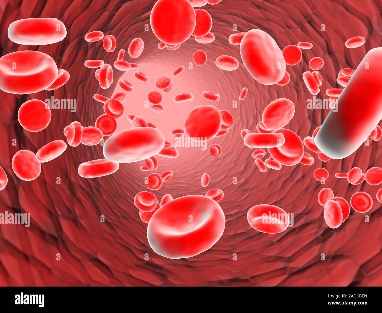 Red blood cells. Computer artwork of red blood cells in a blood vessel ...