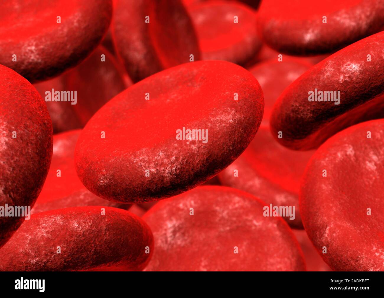 Red blood cells. Computer artwork of human red blood cells ...