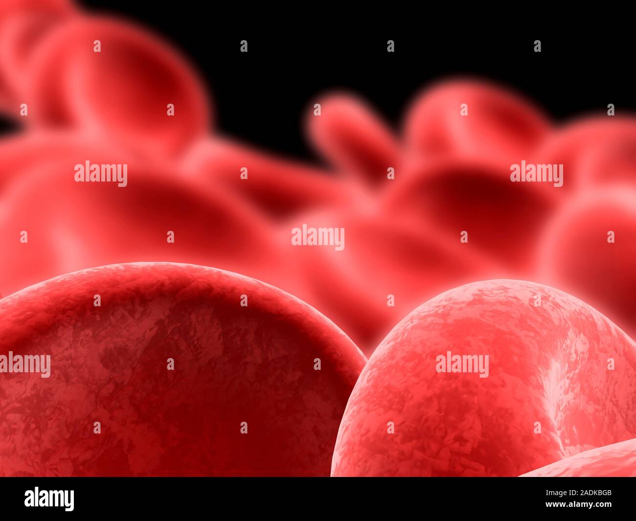 Red blood cells, computer artwork. Red blood cells, or erythrocytes ...