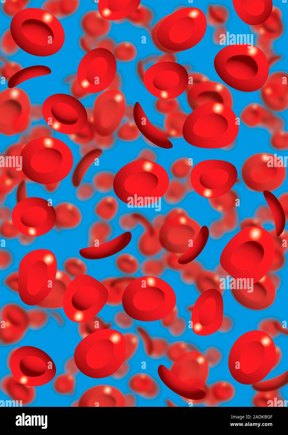 Red blood cells. Computer artwork of human red blood cells ...