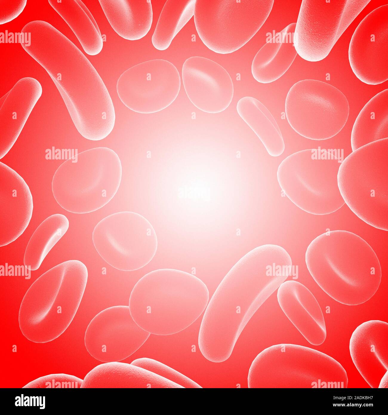 Red blood cells. Computer artwork of human red blood cells ...