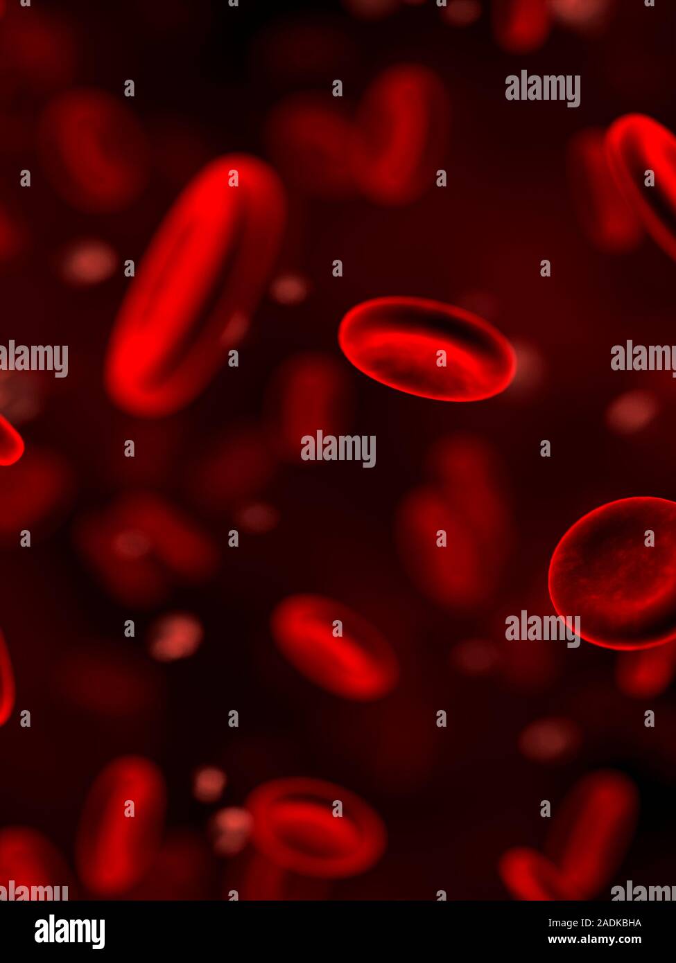 Red blood cells. Computer artwork of human red blood cells ...