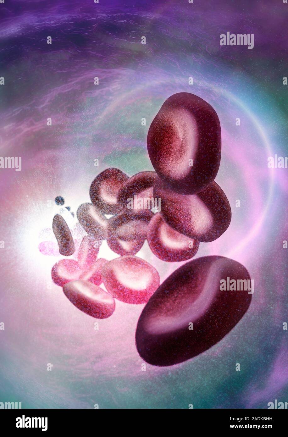 Red blood cells. Computer artwork of human red blood cells ...