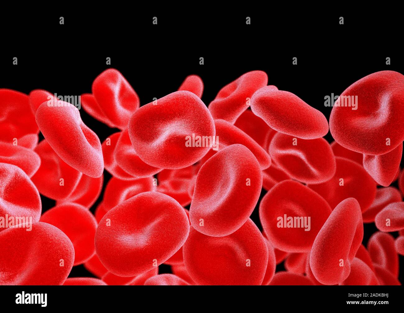 Red blood cells. Computer artwork of human red blood cells ...