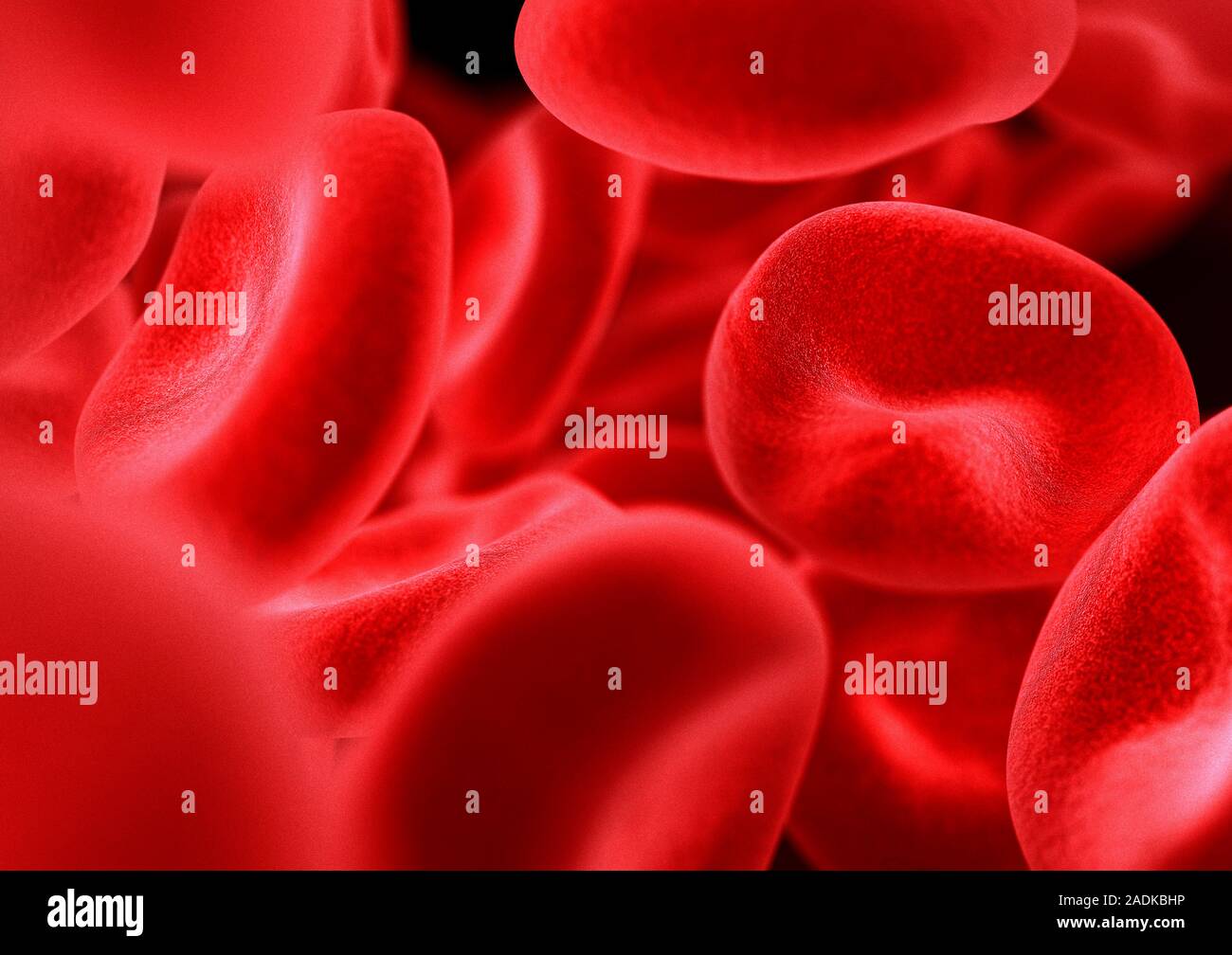 Red blood cells. Computer artwork of human red blood cells ...