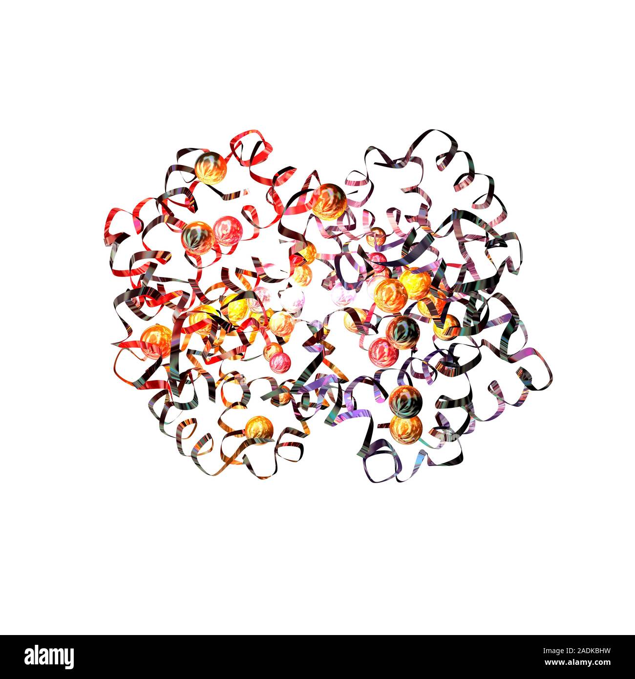 Haemoglobin. Molecular model of haemoglobin, a metalloprotein that ...
