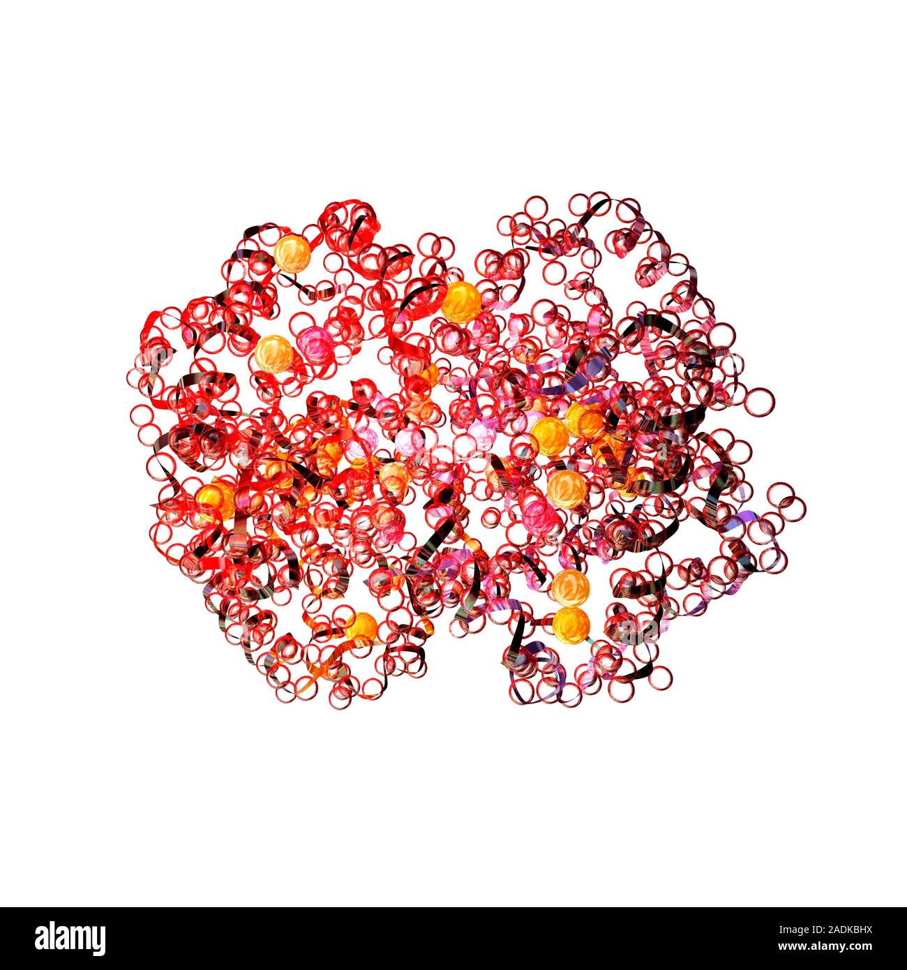 Haemoglobin. Molecular model of haemoglobin, a metalloprotein that ...