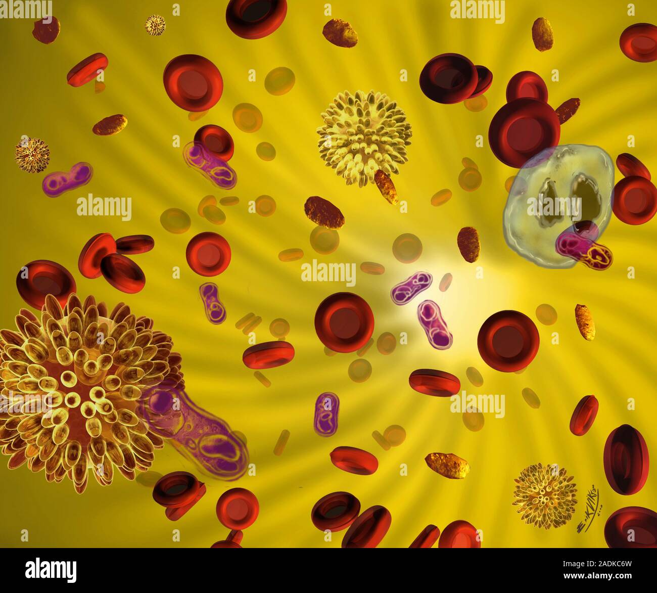 Disease pathogens. Computer illustration of two types of pathogen ...