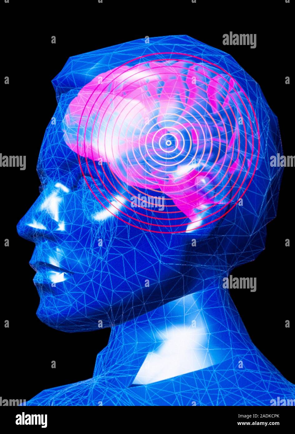 Human brain. Computer graphic of a side view of a male head with mesh ...
