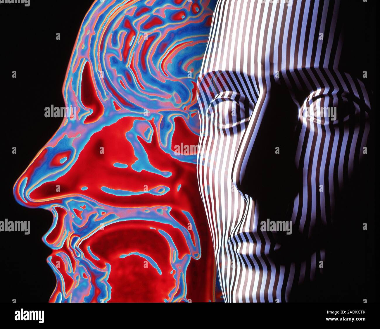 MRI scan and face. Computer artwork of a face patterned with vertical ...