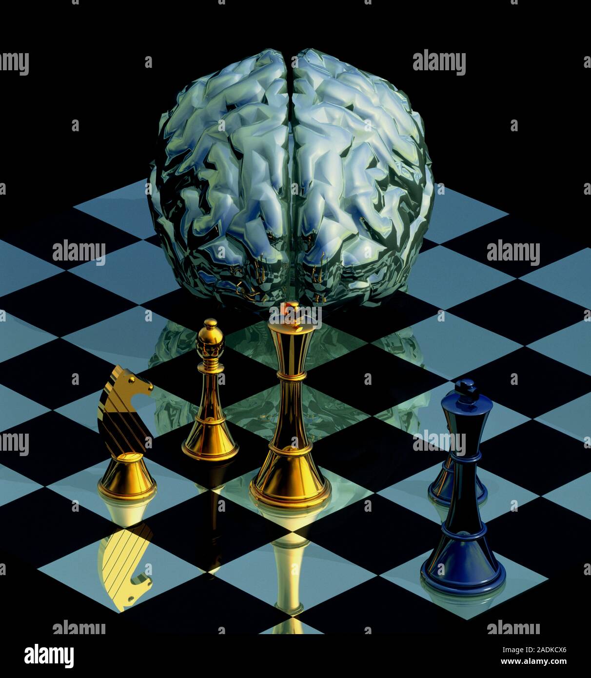 Brainpower. Conceptual computer artwork of a human brain on a ...