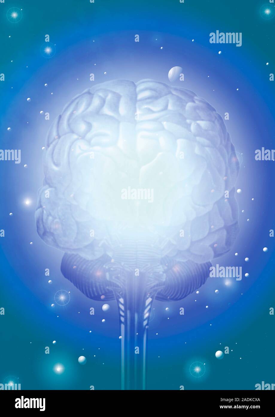 Space brain. Conceptual computer artwork of a human brain against a ...