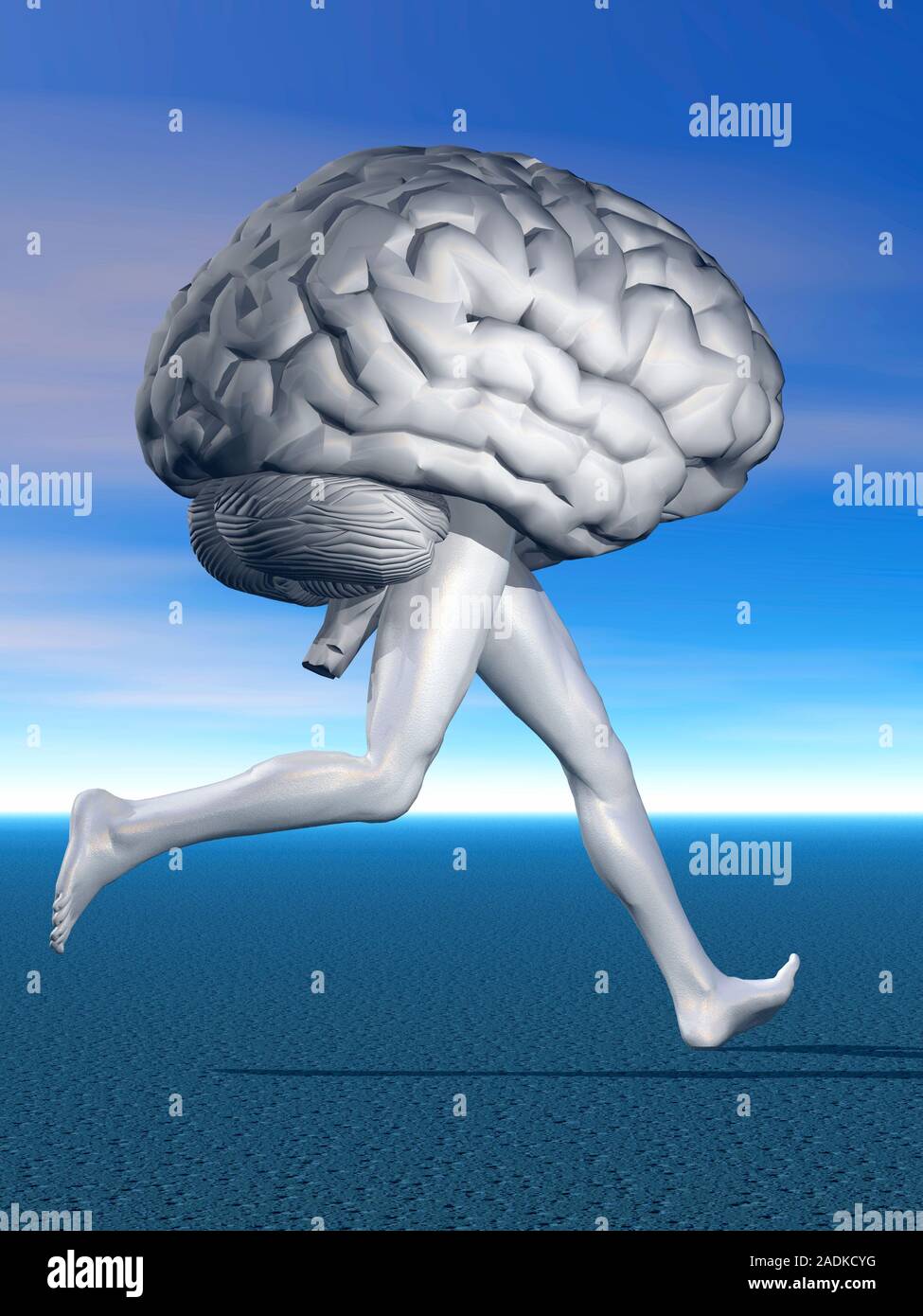 Running brain. Conceptual computer artwork of a human brain running on ...