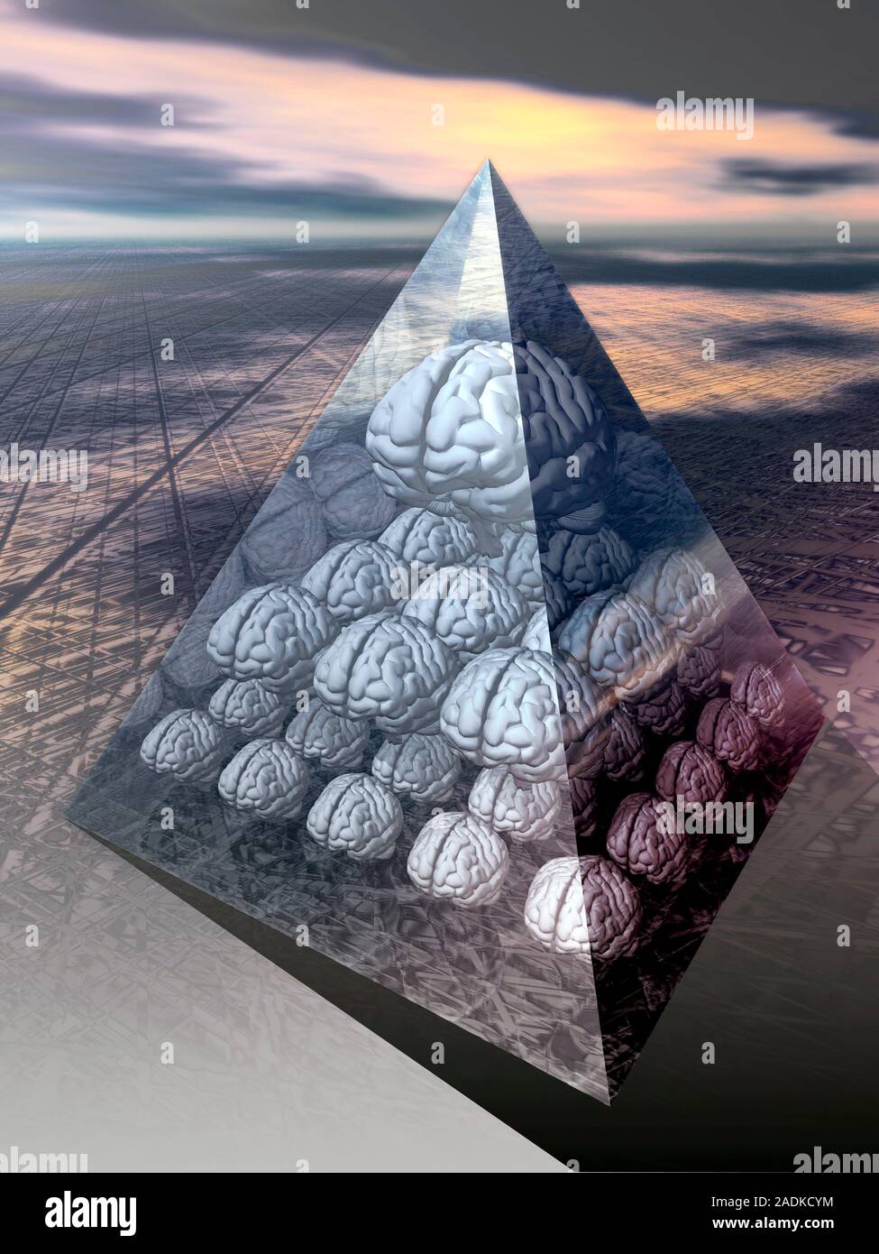 Decision making. Conceptual computer artwork of a hierarchy of decision ...
