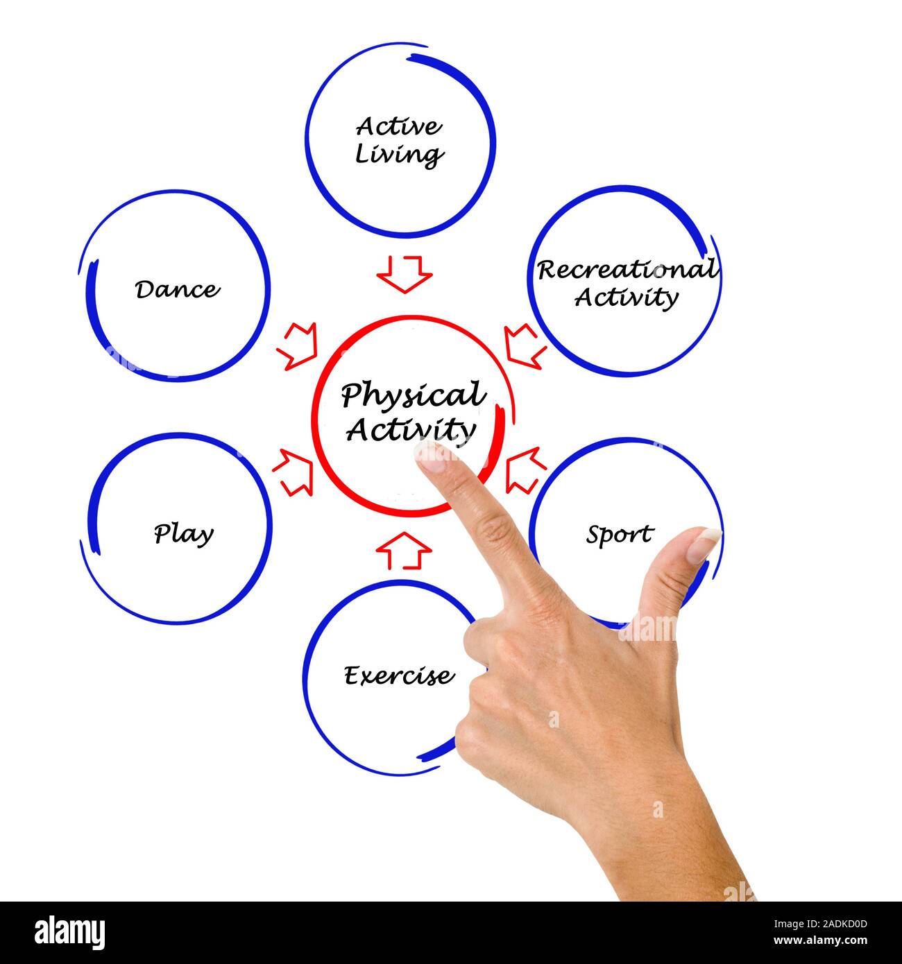 Physical presentation Cut Out Stock Images & Pictures - Alamy