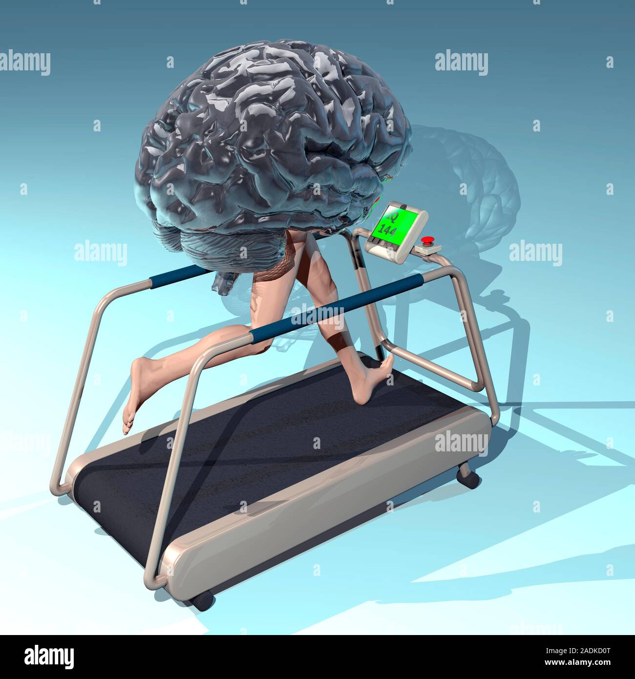 Running brain. Conceptual artwork of brain exercise and maintaining ...