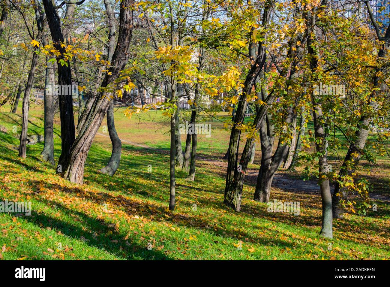 Parukarka gardens hi-res stock photography and images - Alamy