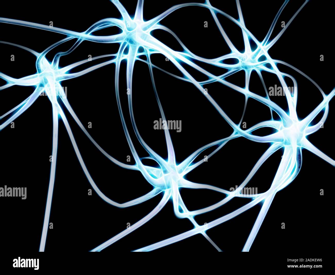 Nerve cells, computer artwork. Nerve cells, or neurons, relay ...