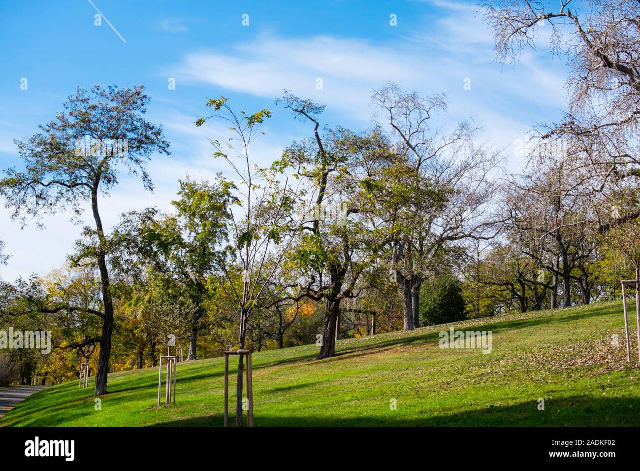 Vitkov zizkov hi-res stock photography and images - Alamy