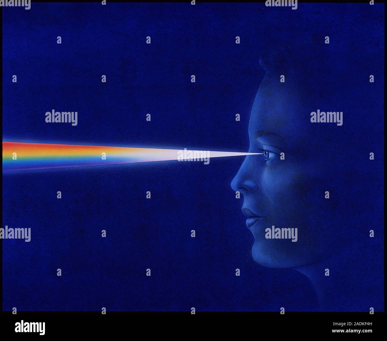 Vision. Illustration of a spectrum of light entering the human eye ...