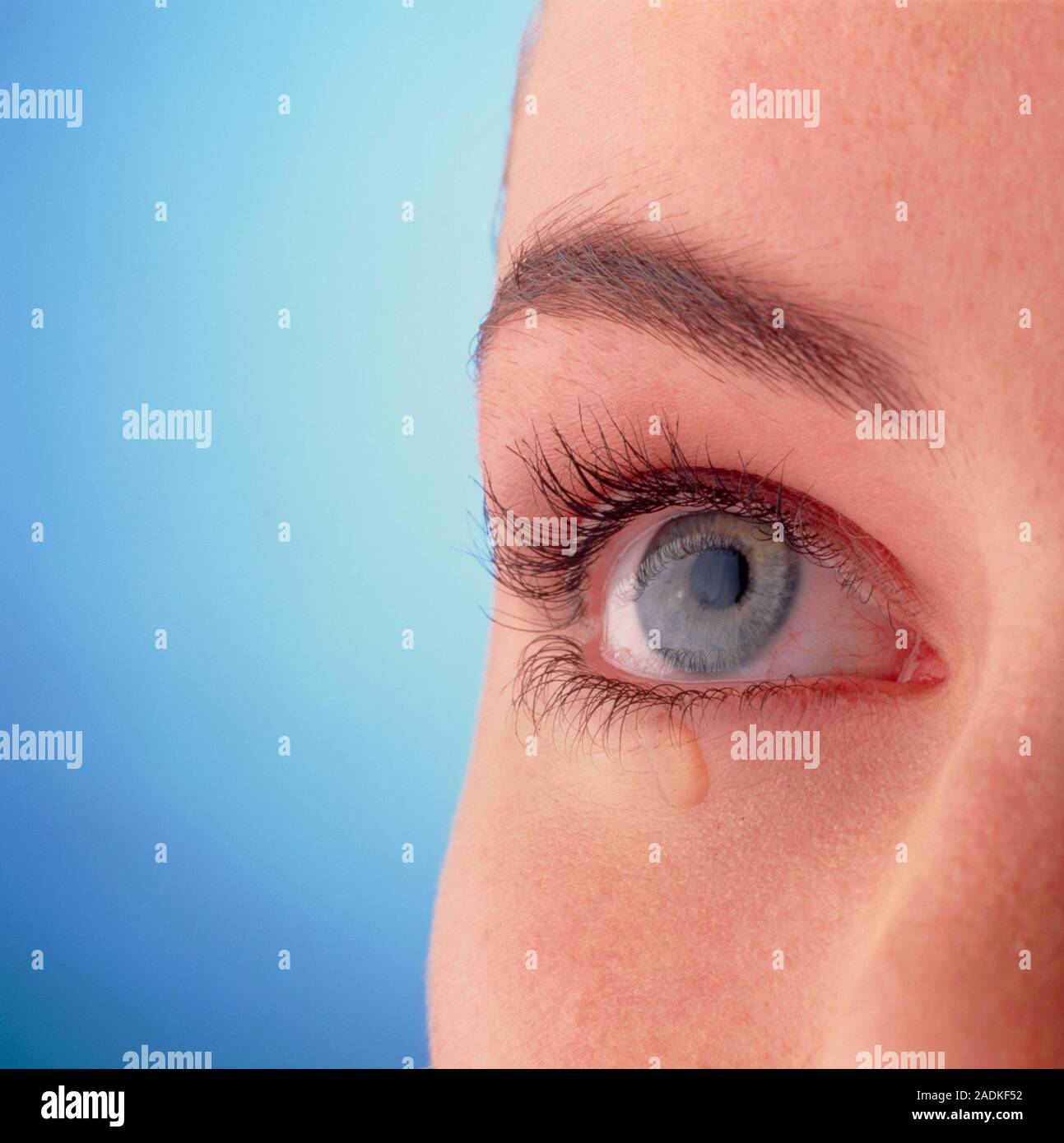 Eye. Close-up of a woman's healthy eye (in front view), seen with a ...