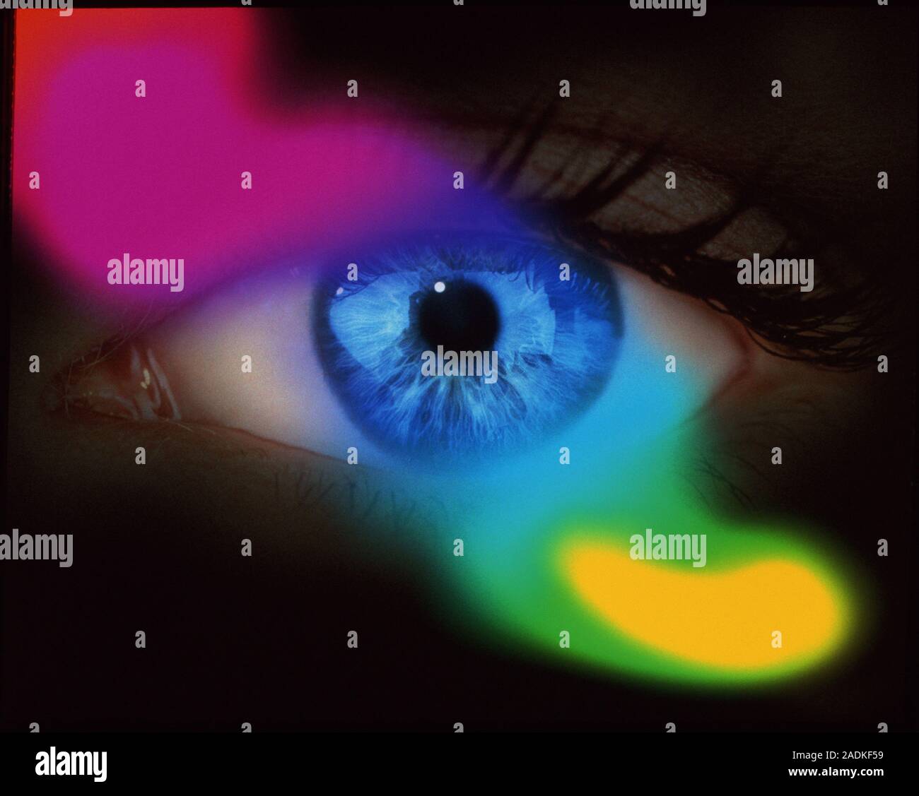 Colour vision. Computer image depicting human colour vision, in which a ...