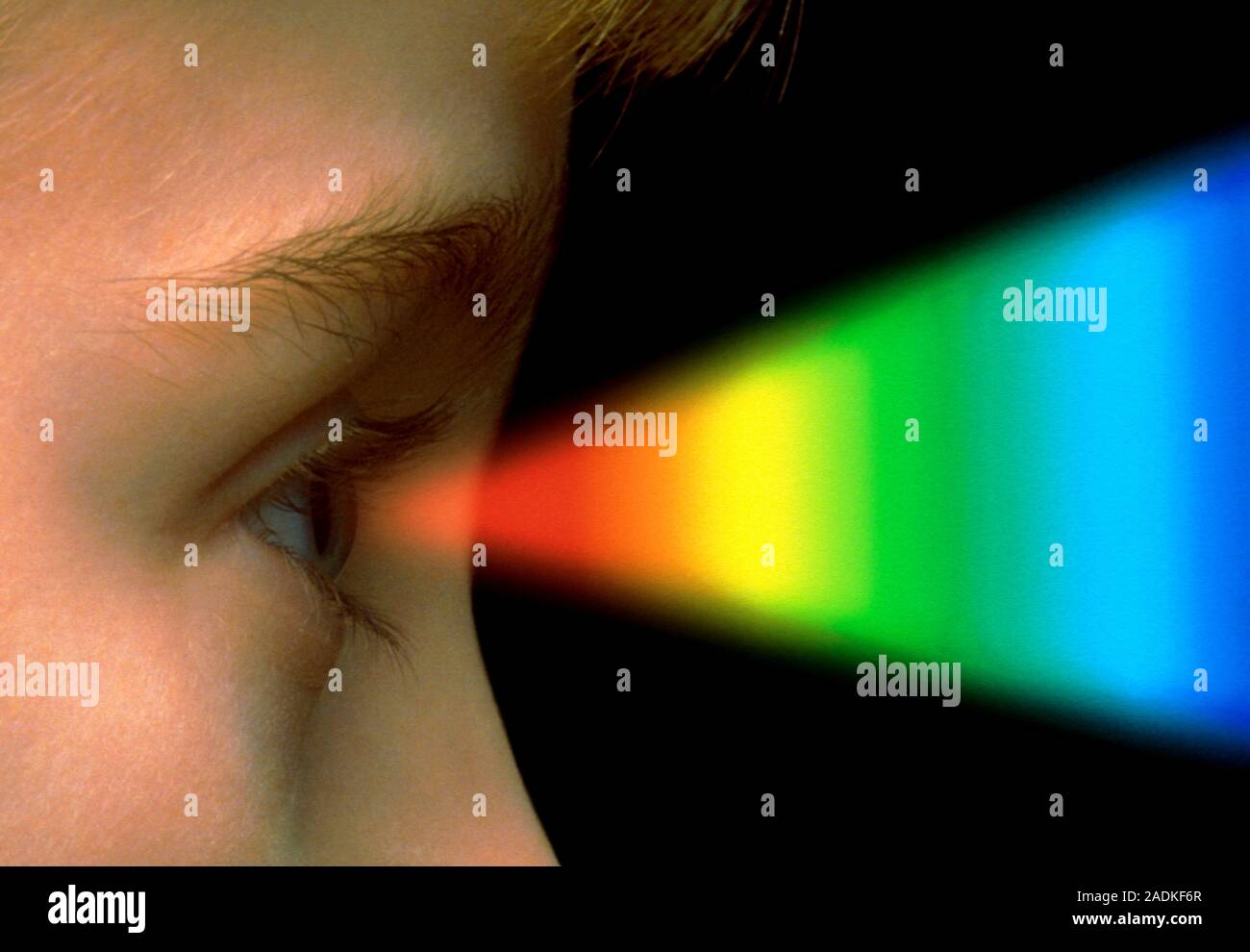 Colour vision. Spectrum of coloured light entering the eye of a child ...