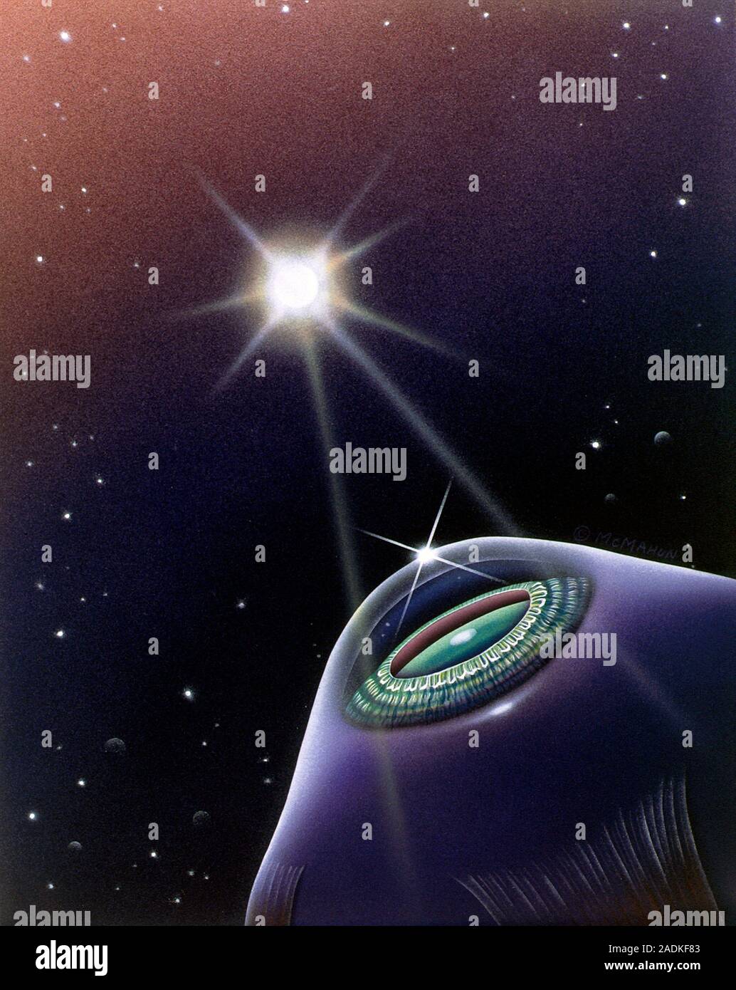 Eye. Abstract artwork of an eye looking at a star. The eye is the organ ...