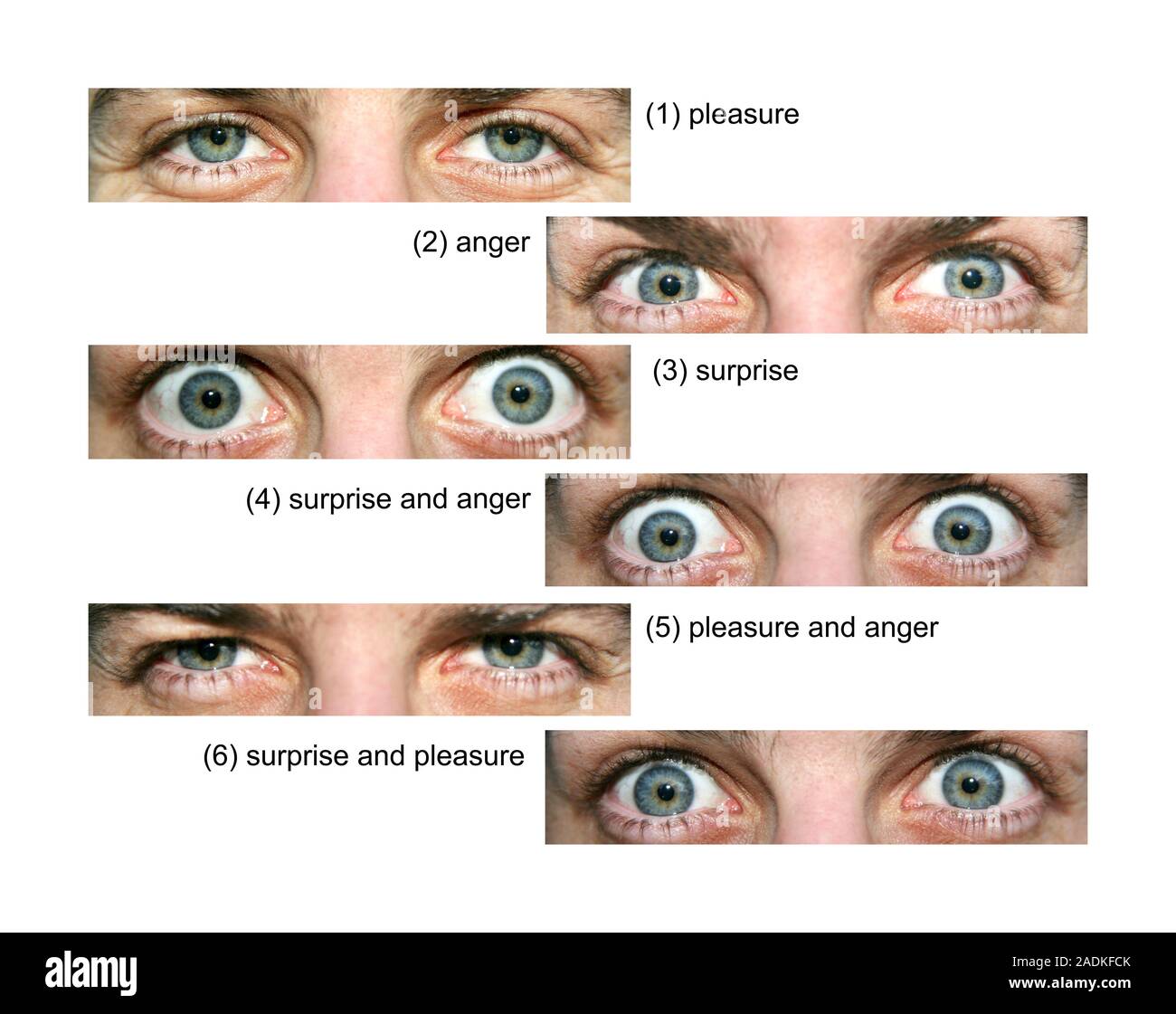 MODEL RELEASED. Eye expressions. Series of images demonstrating various ...