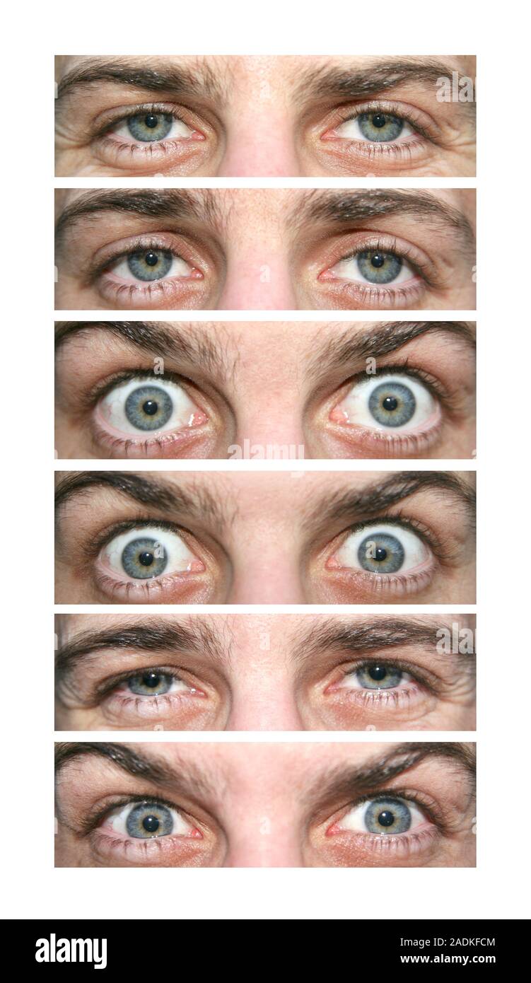 MODEL RELEASED. Eye expressions. Series of images demonstrating various ...