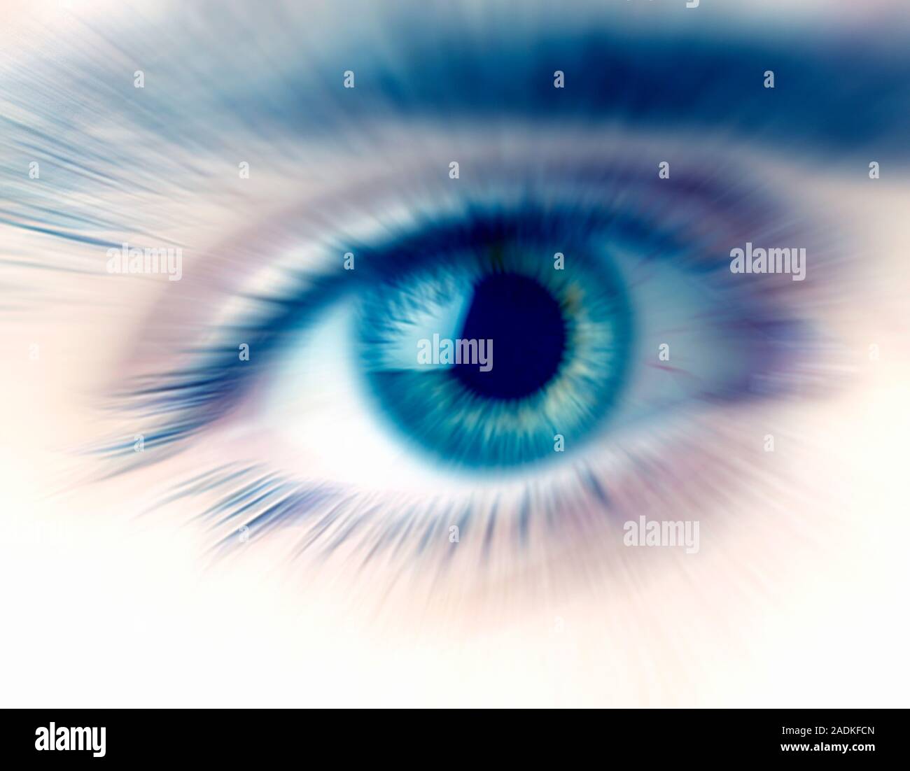 Human eye, computer artwork. The three visible parts of the eye are the ...