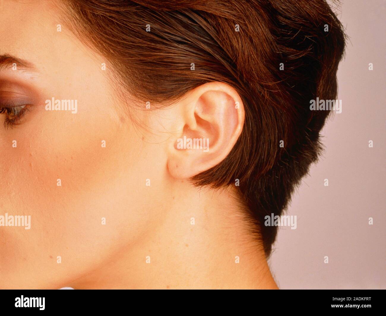 MODEL RELEASED: Side view of woman's head, centered on the ear Stock ...