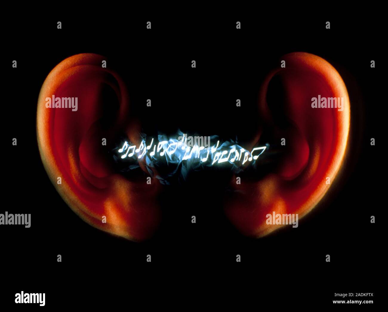 Hearing music. Conceptual image depicting hearing, showing music ...