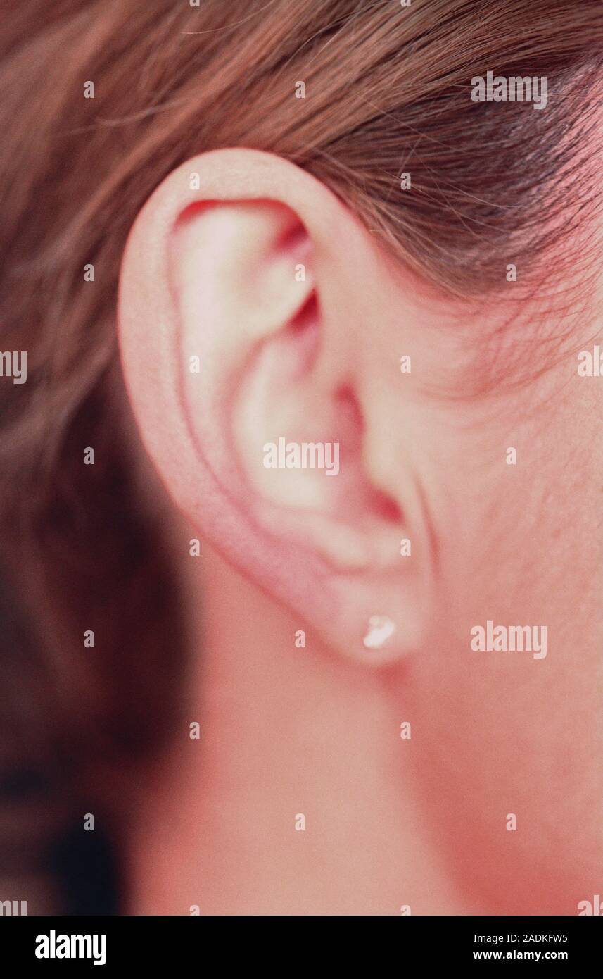 Woman's ear. Side view of a young woman's ear Stock Photo - Alamy