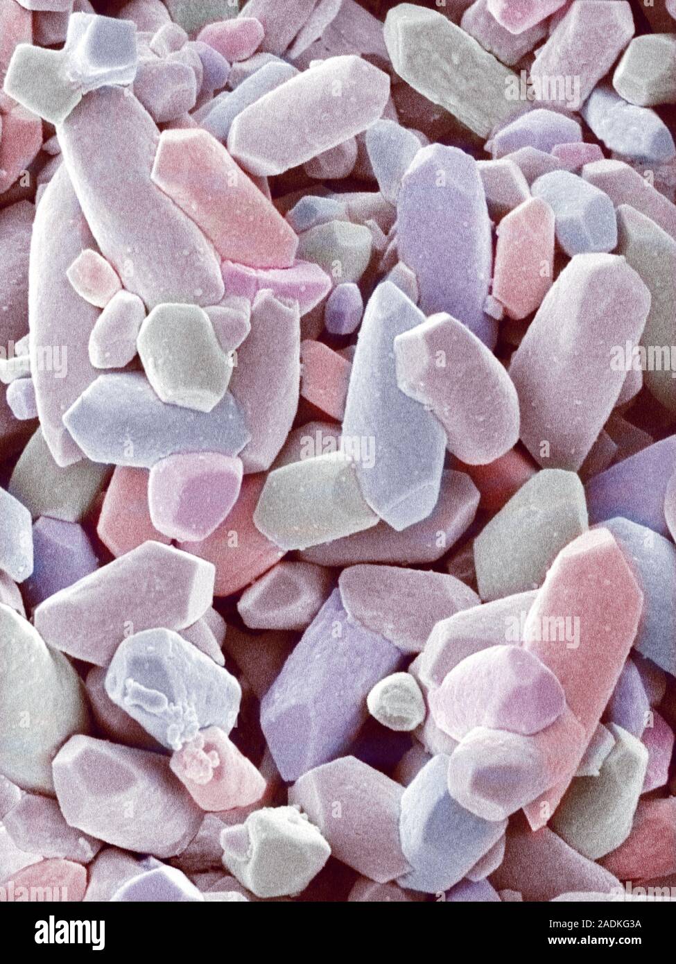 Balancing stone from inner ear. Coloured scanning electron micrograph ...