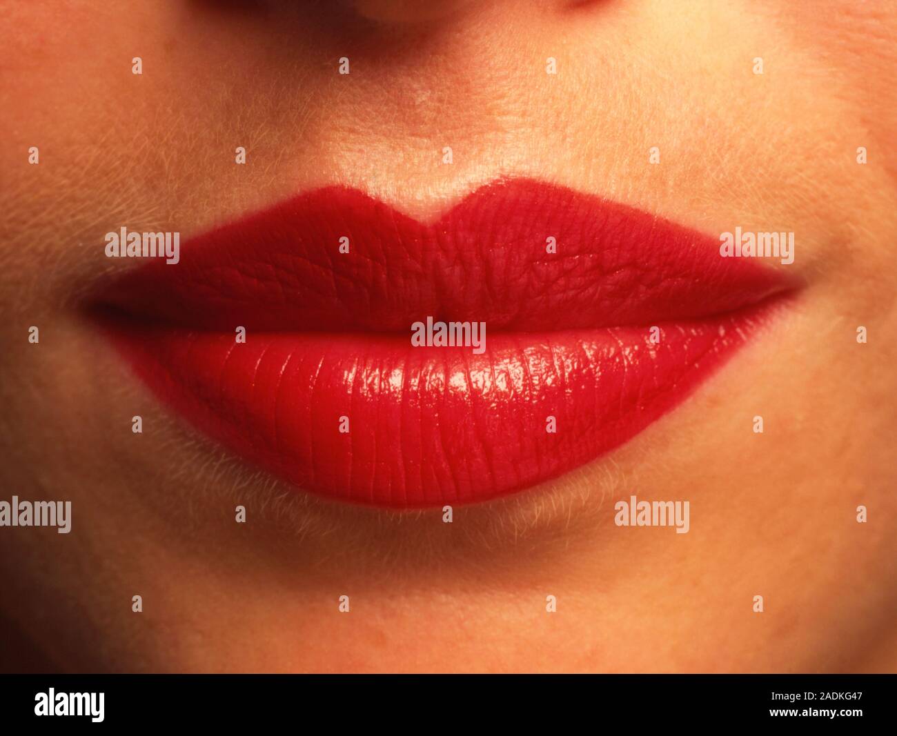 Lips. Close-up of the lips of a woman, seen in front view. They are ...