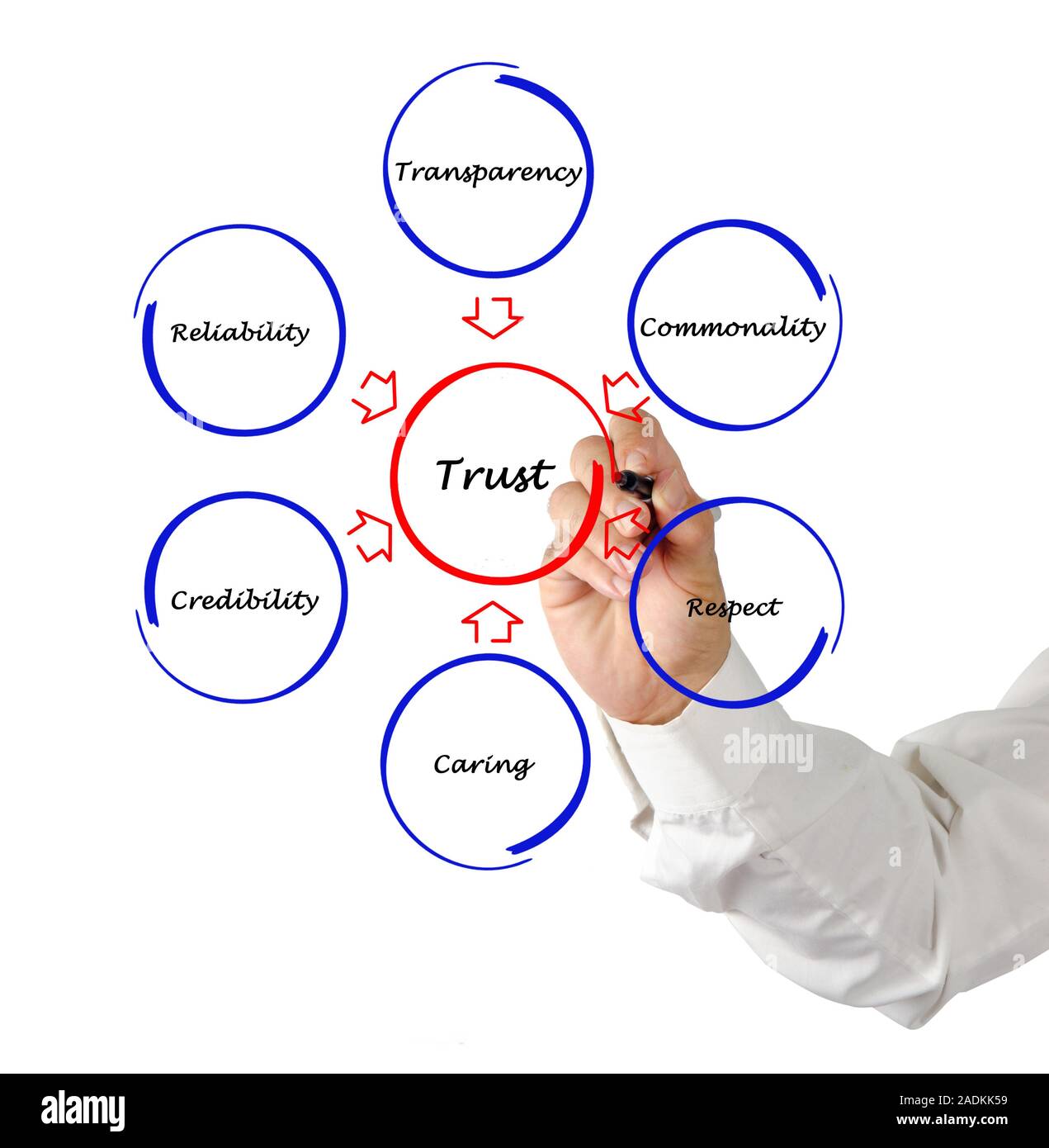 Diagram of trust Stock Photo - Alamy
