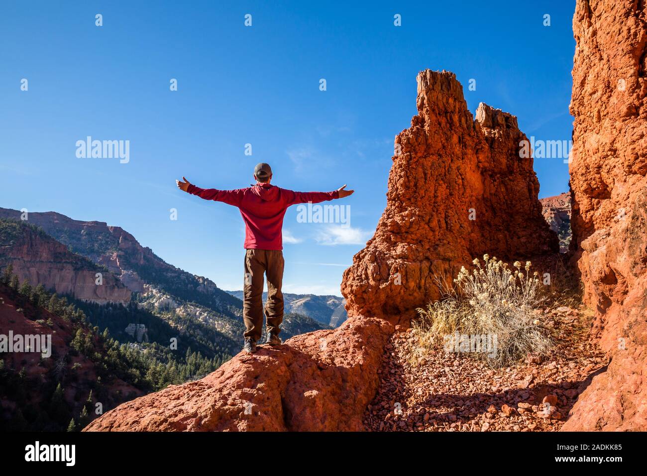 Hiker standing atop red rock formation with arms wide welcoming the ...