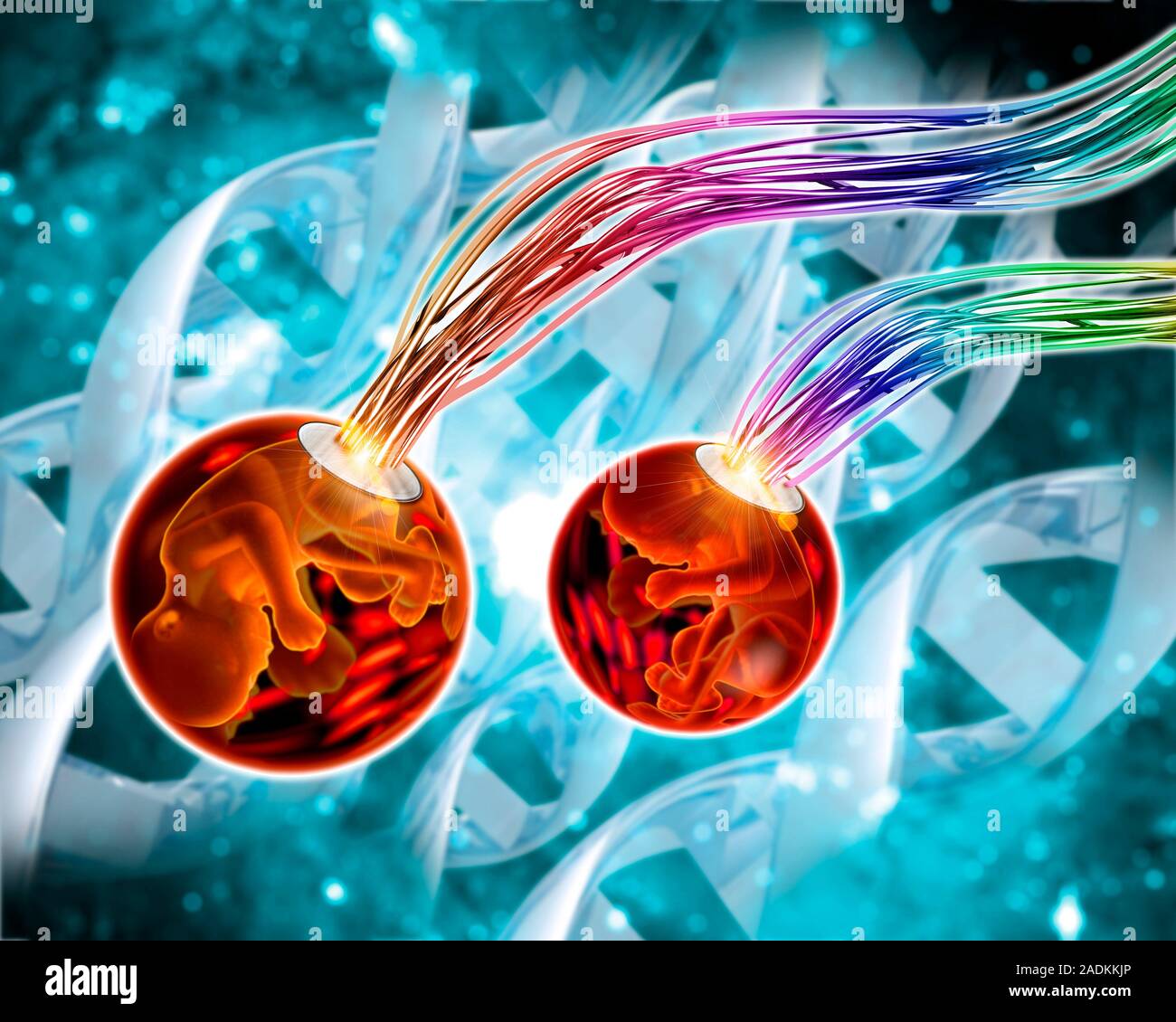 Reproduction. Conceptual computer artwork that represents reproduction ...