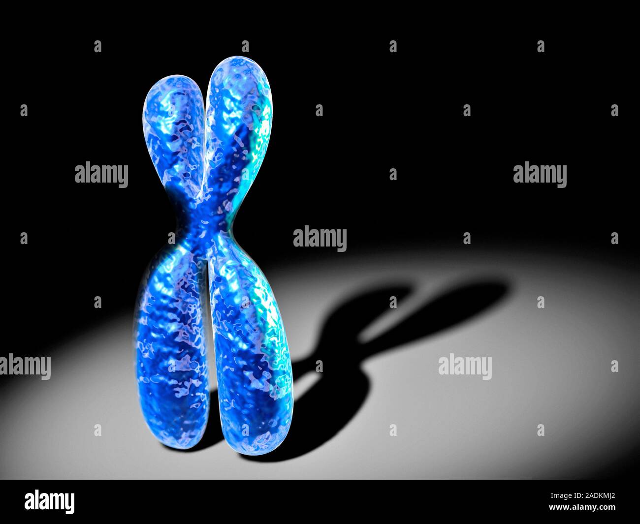 Chromosome. Computer artwork of a chromosome in a spotlight ...
