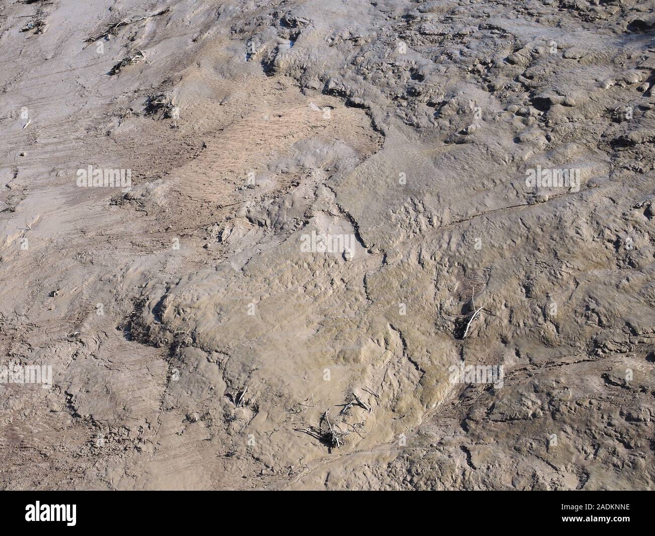 Muddy water sample hi-res stock photography and images - Alamy