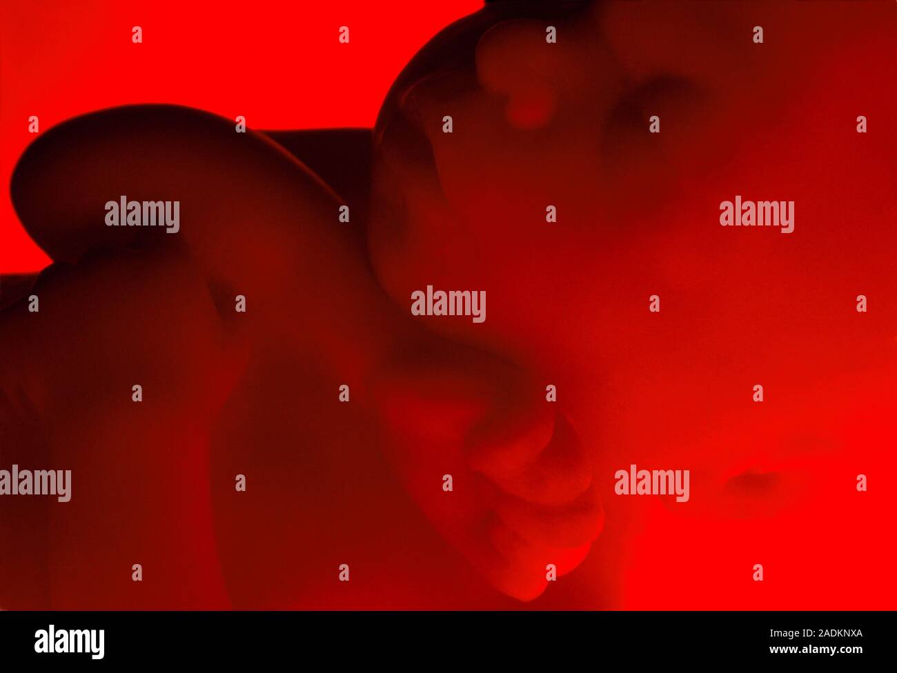 Foetus. Model of a foetus during an advanced stage of development ...