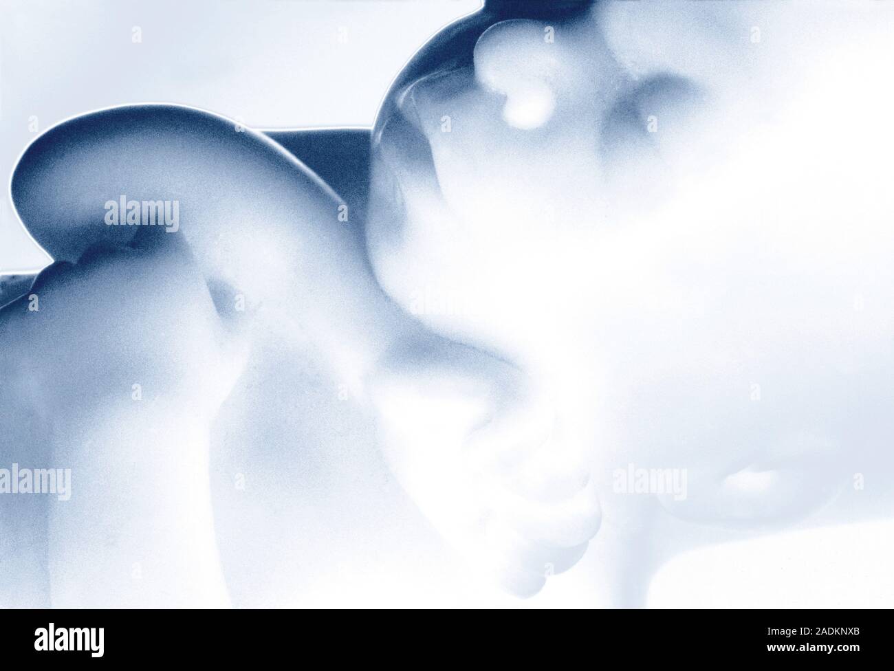 Foetus. Model of a foetus during an advanced stage of development Stock ...