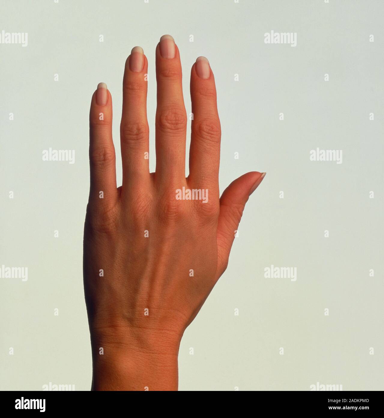 Healthy hand. Top view of the hand of a woman, with fingers held ...