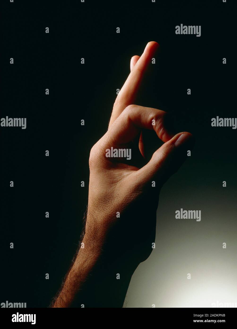 Hand forming an O". Male hand held upright, with the thumb and ...