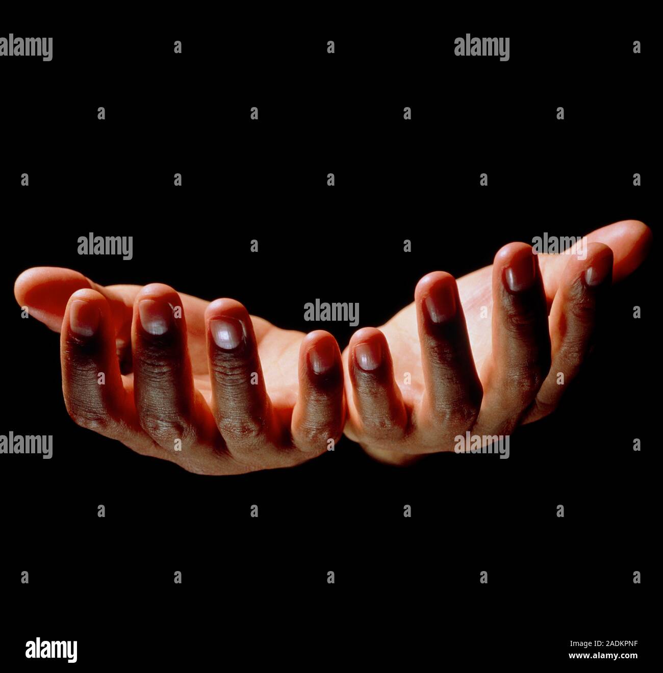 Cupped hands. Front view of the cupped hands of a man, both palms held ...